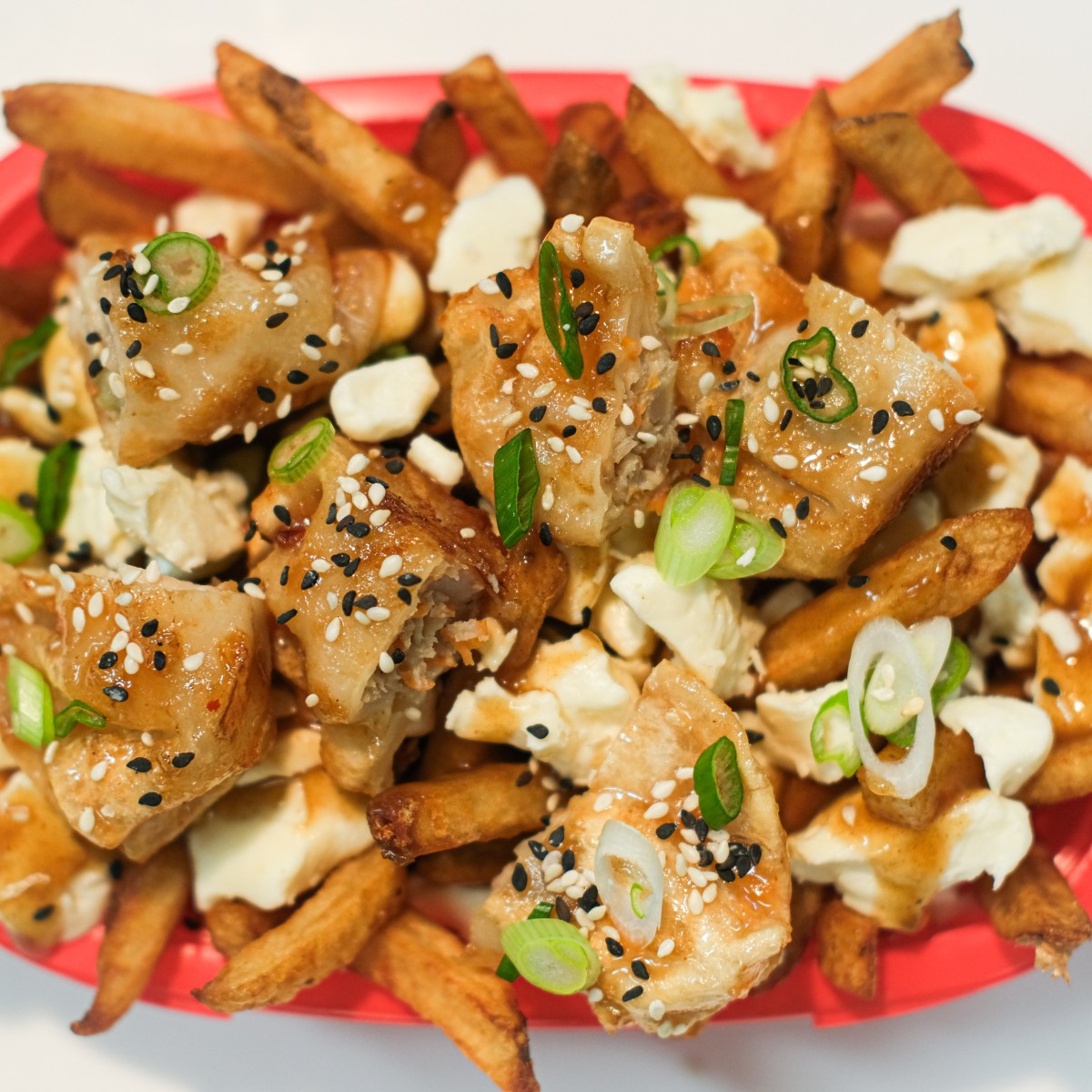 THE LATIN VOX | Canada